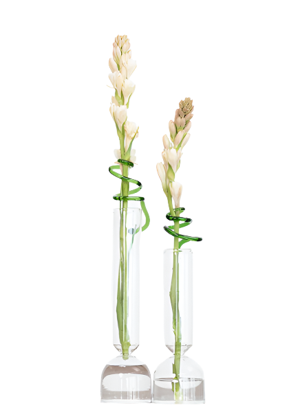 TENDRIL VASE – Ashiesh